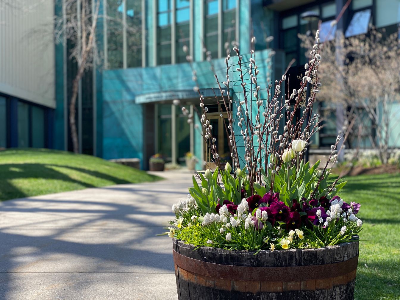 Learning Support - BBN